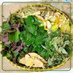 Lá xông giải cảm gồm những gì? Các loại lá xông cảm lạnh?